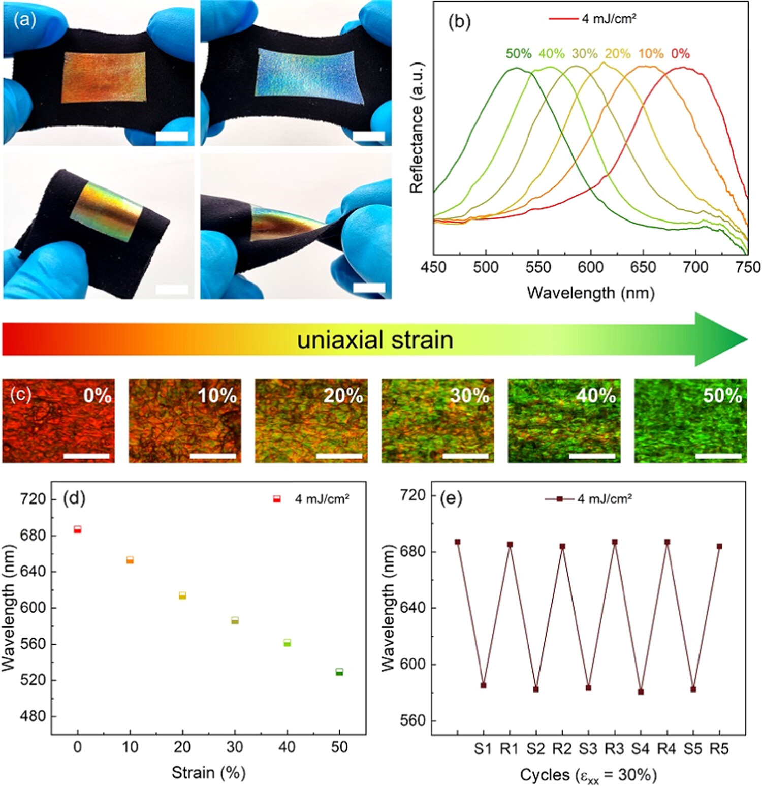 Home Page - with research - IFSC Graduate